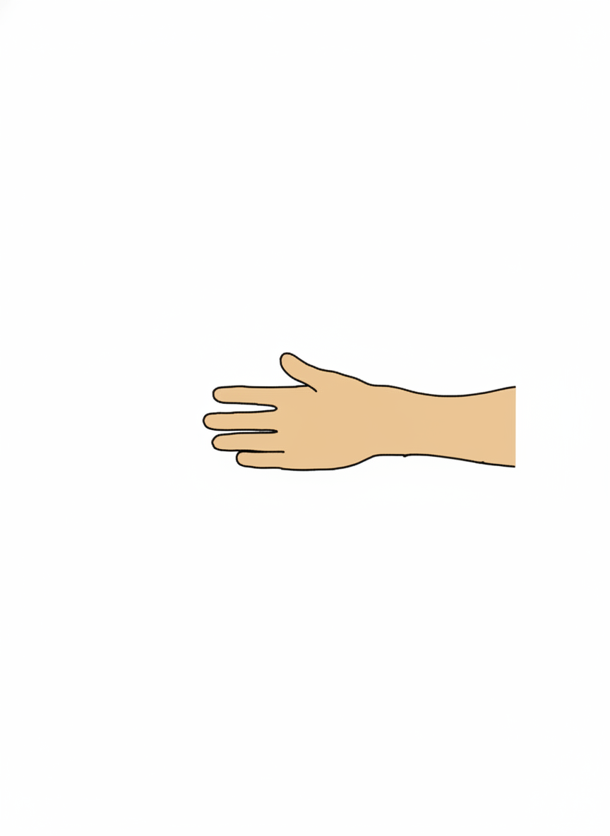 Hand Numbness Nerve Exercises: Restore Sensation and Function