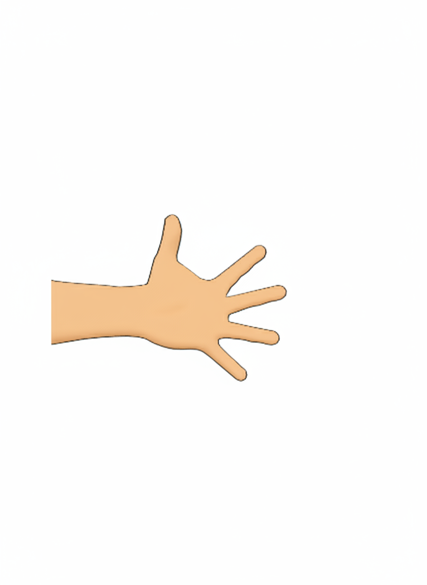 Hand Numbness Nerve Exercises: Restore Sensation and Function